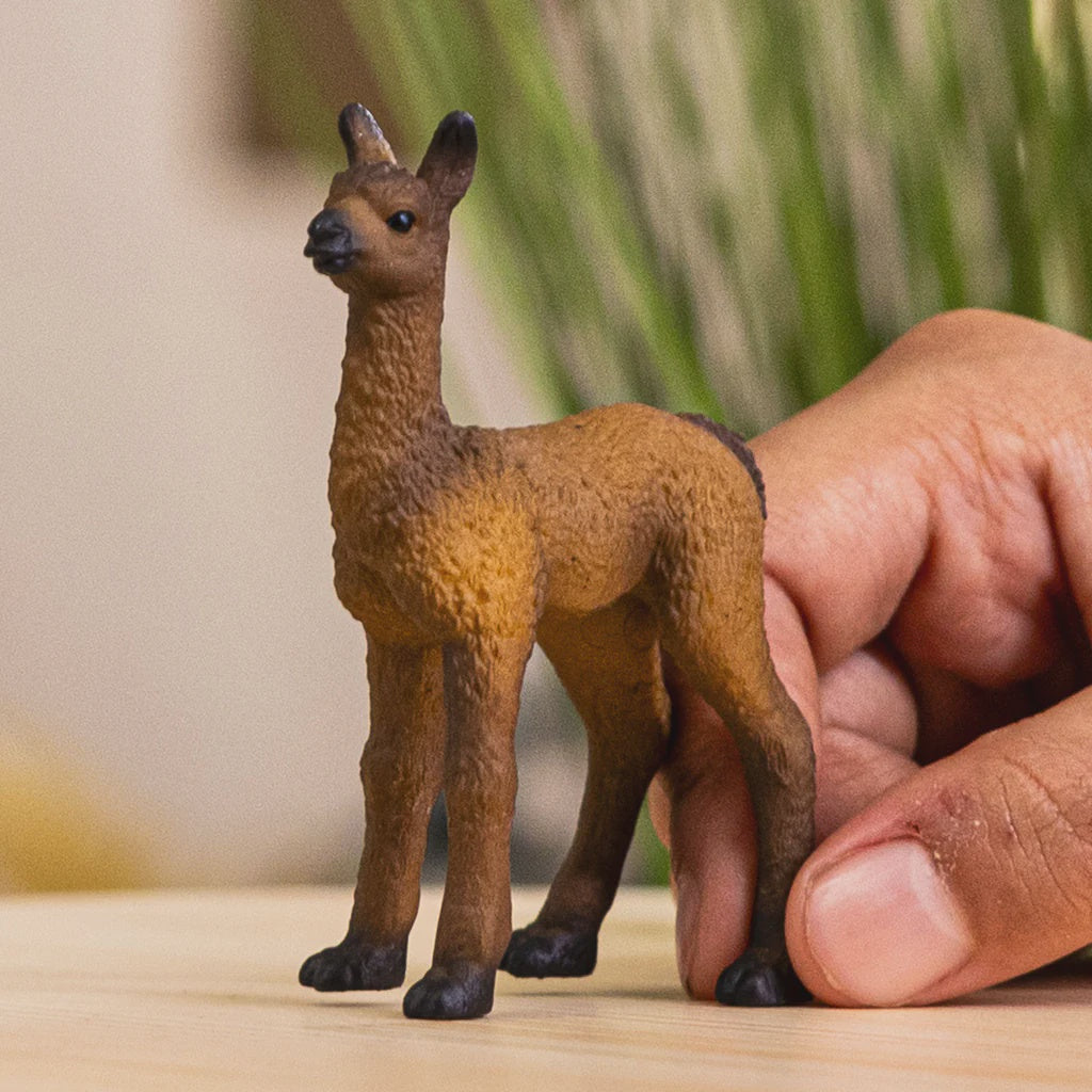 Schleich Llama Foal – Crackerjack Toys