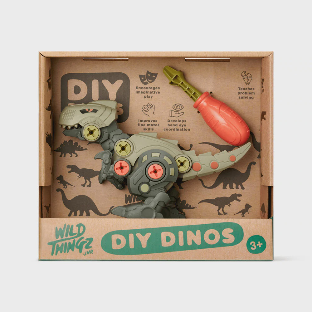 Wild Thingz DIY Dinos - T-Rex – Crackerjack Toys